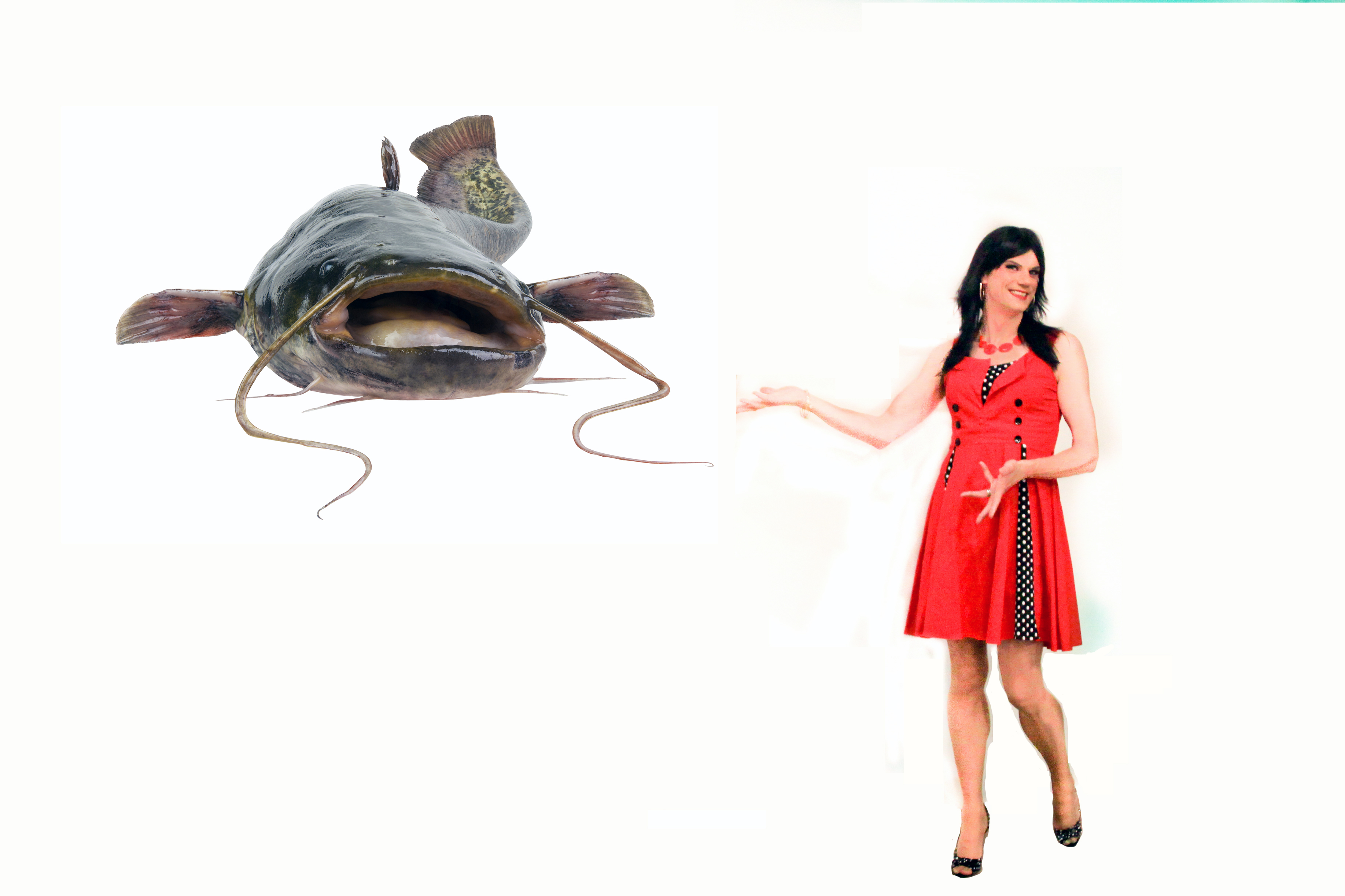 Let’s Talk About Catfishing – Hannah McKnight